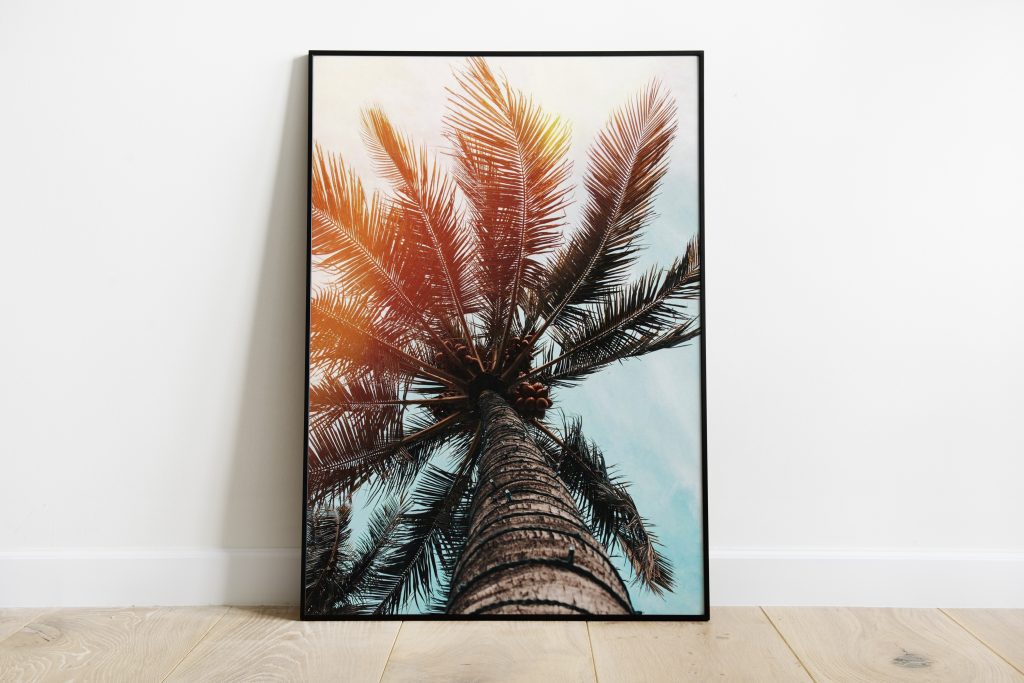 Summer Palm Tree Poster - Shark Shirts